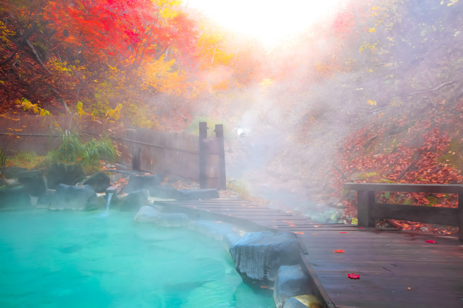 Japanese Hot Springs Onsen Natural Bath Surrounded By Red Yellow Leaves In Fall Leaves Fall In